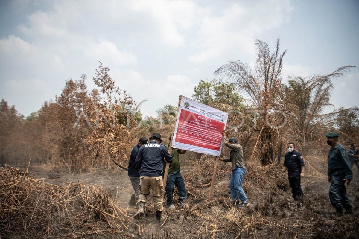 Gakkum KLHK segel lahan milik sampoerna agro dan tempirai | ANTARA Foto