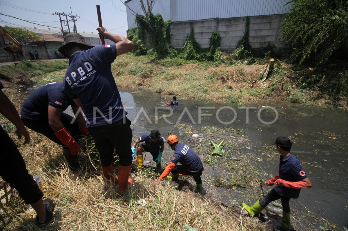 Bersih bersih sungai di Sidoarjo | ANTARA Foto