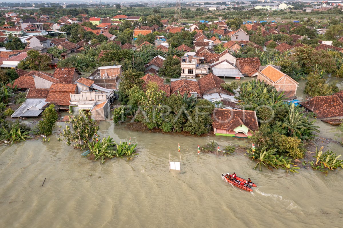 Banjir di Demak belum surut | ANTARA Foto