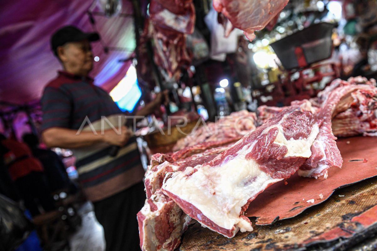 Harga daging sapi turun jelang ramadhan | ANTARA Foto