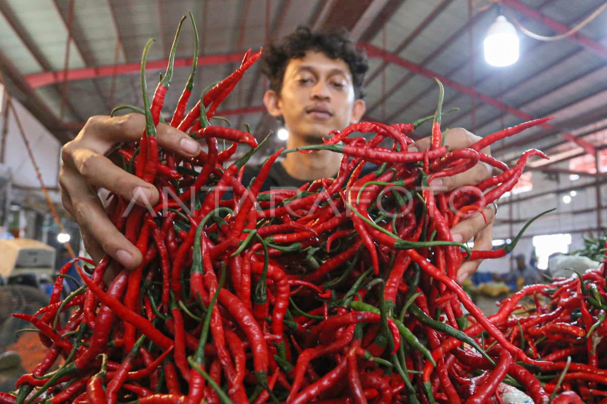 Harga cabai merah naik jelang Idul Adha di Aceh | ANTARA Foto