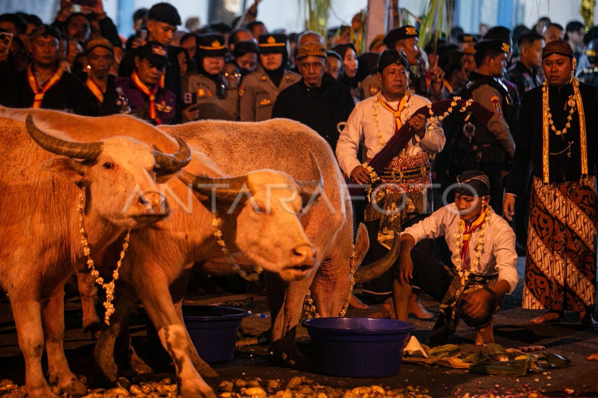 Kirab malam satu Suro Keraton Kasunanan Solo | ANTARA Foto