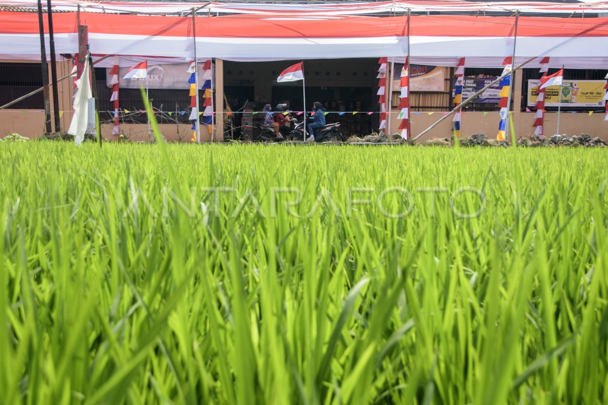 Semarak hiasan merah putih jelang HUT Kemerdekaan RI | ANTARA Foto