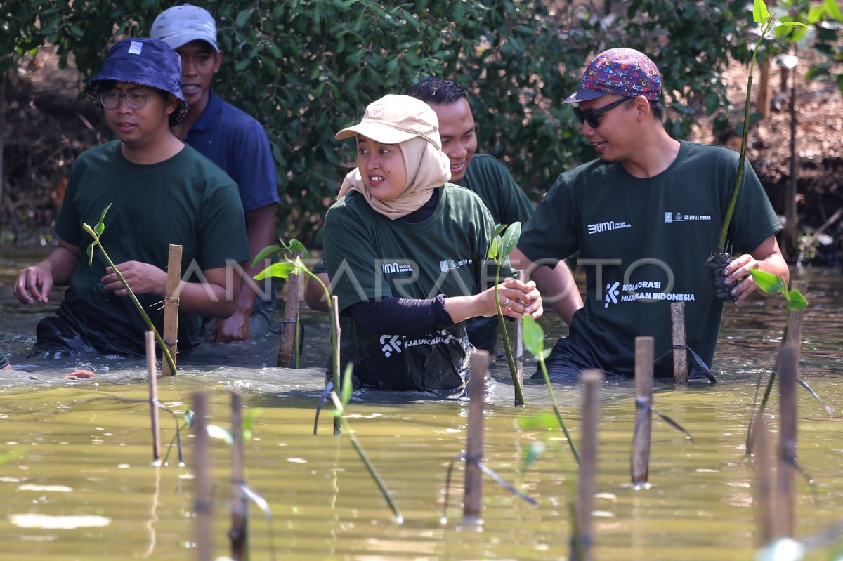 Aksi tanam mangrove di Surabaya | ANTARA Foto