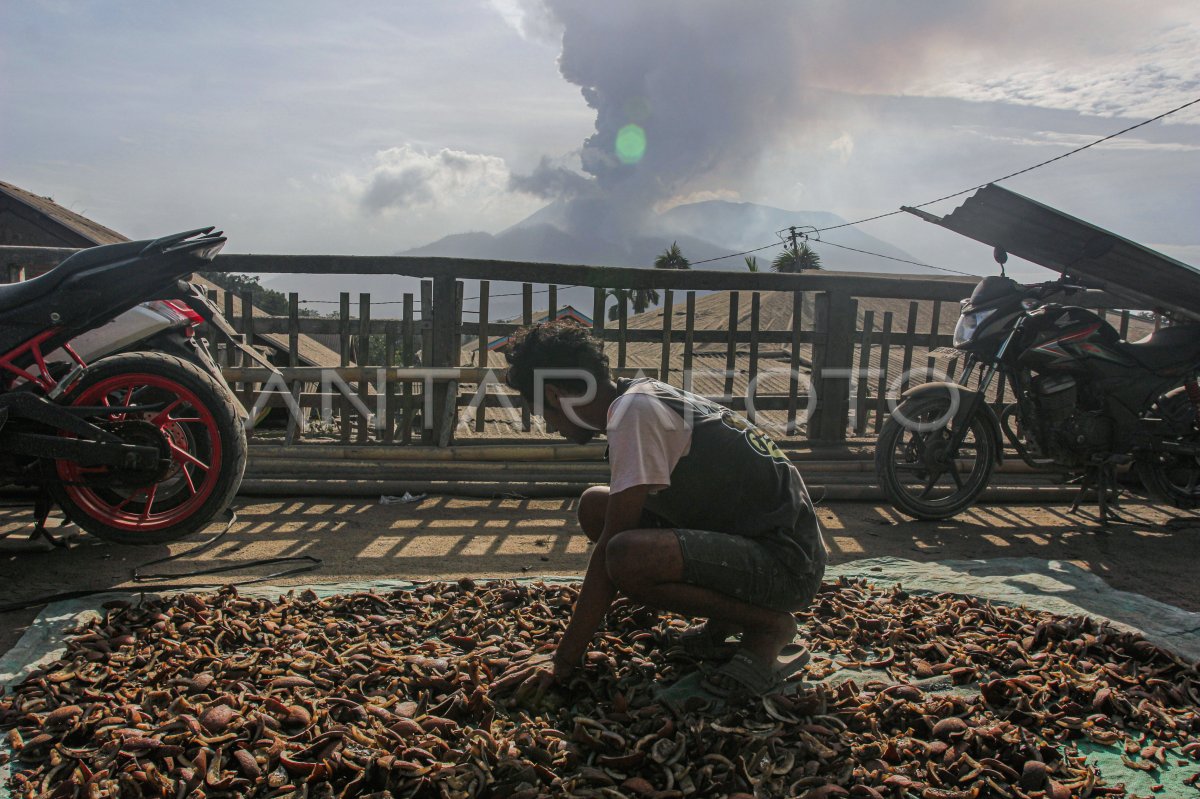 Jumlah pengungsi dampak erupsi Gunung Lewotobi | ANTARA Foto Jumlah pengungsi dampak erupsi Gunung Lewotobi | ANTARA Foto