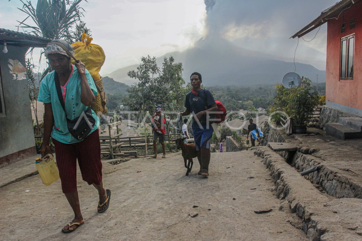 Jumlah pengungsi dampak erupsi Gunung Lewotobi | ANTARA Foto Jumlah pengungsi dampak erupsi Gunung Lewotobi | ANTARA Foto