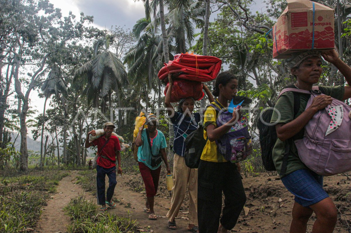 Jumlah pengungsi dampak erupsi Gunung Lewotobi | ANTARA Foto Jumlah pengungsi dampak erupsi Gunung Lewotobi | ANTARA Foto