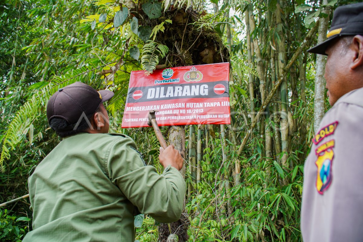Patroli dan pengendalian kawasan hutan Perhutani | ANTARA Foto