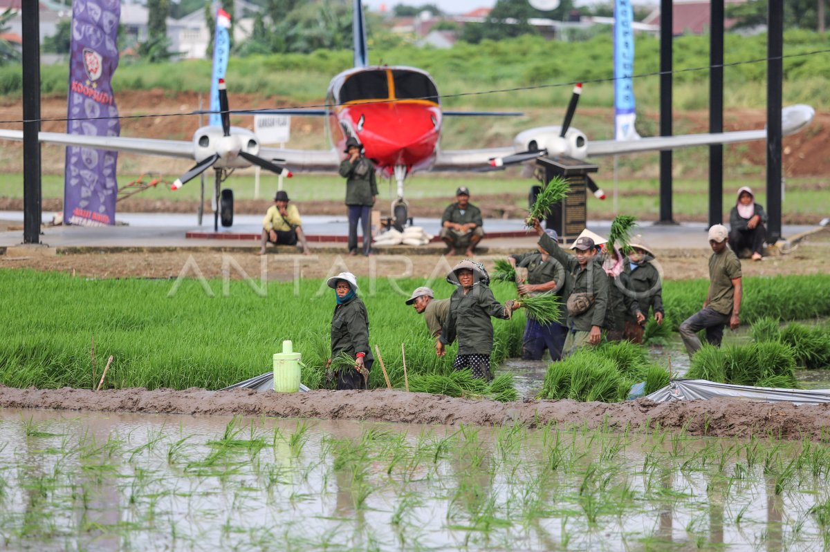 TNI AU dukung program ketahanan pangan | ANTARA Foto