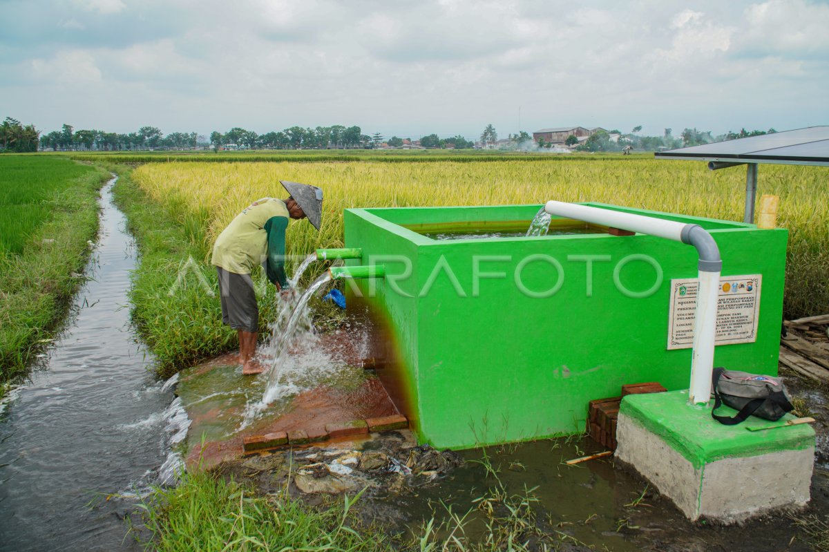 Pompa air tenaga surya untuk tingkatkan produksi pertanian | ANTARA Foto Pompa air tenaga surya untuk tingkatkan produksi pertanian | ANTARA Foto