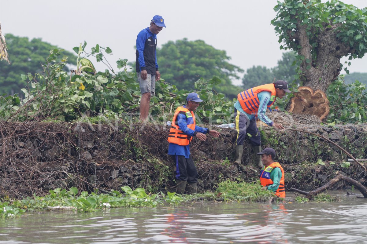 Aksi bersi-bersih sungai di Sidoarjo | ANTARA Foto