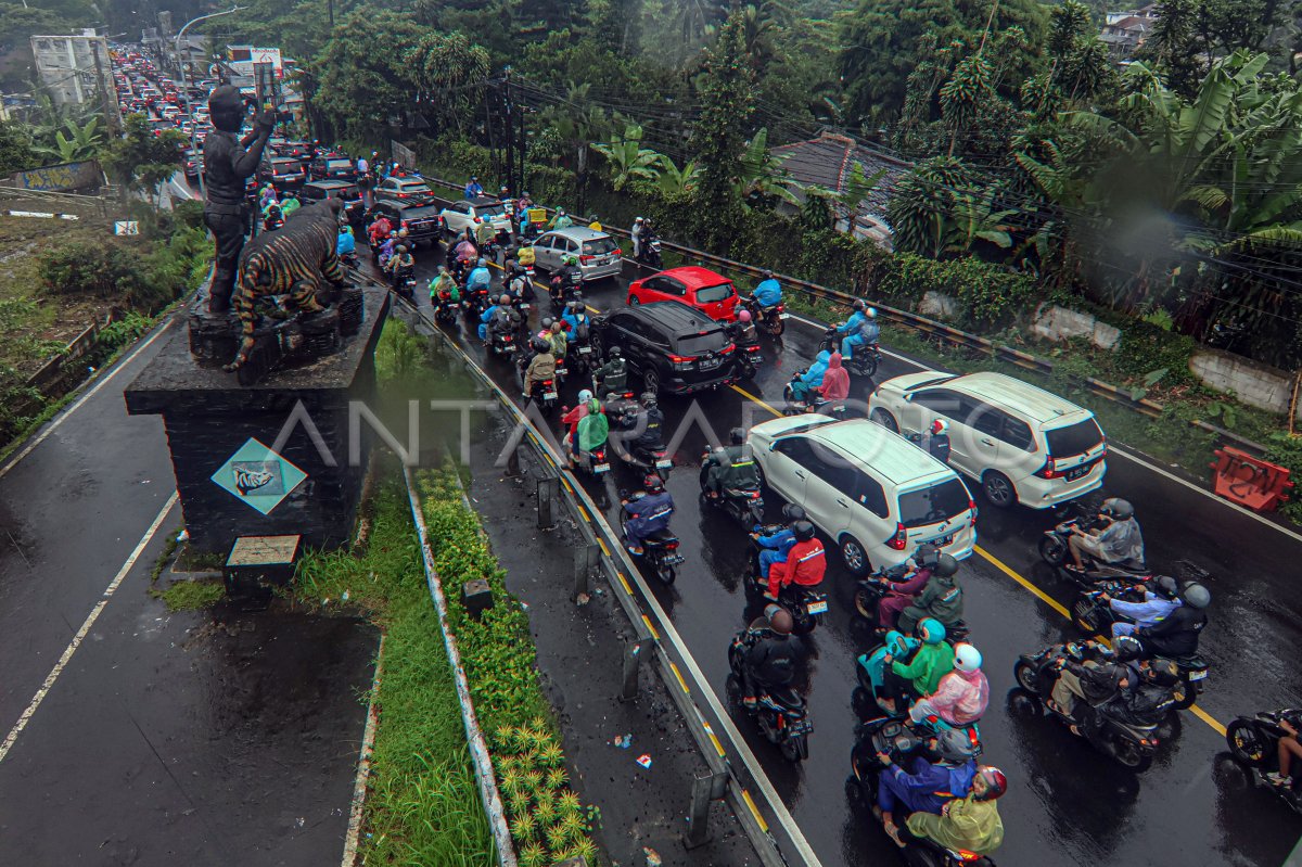 Jumlah kendaraan yang melintas jalur wisata Puncak Bogor | ANTARA Foto
