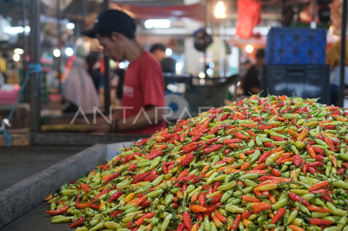 Harga cabai naik jelang Ramadhan | ANTARA Foto