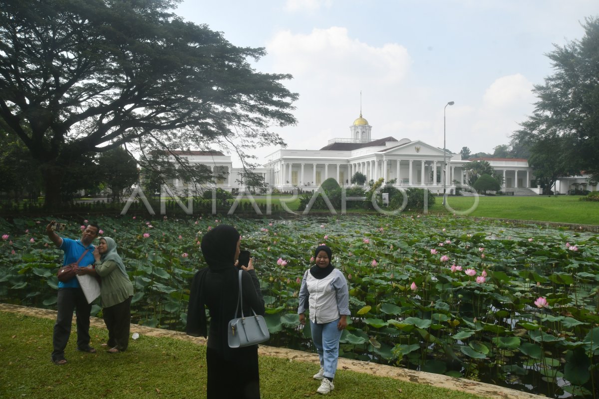 Wisata Kebun Raya Bogor | ANTARA Foto