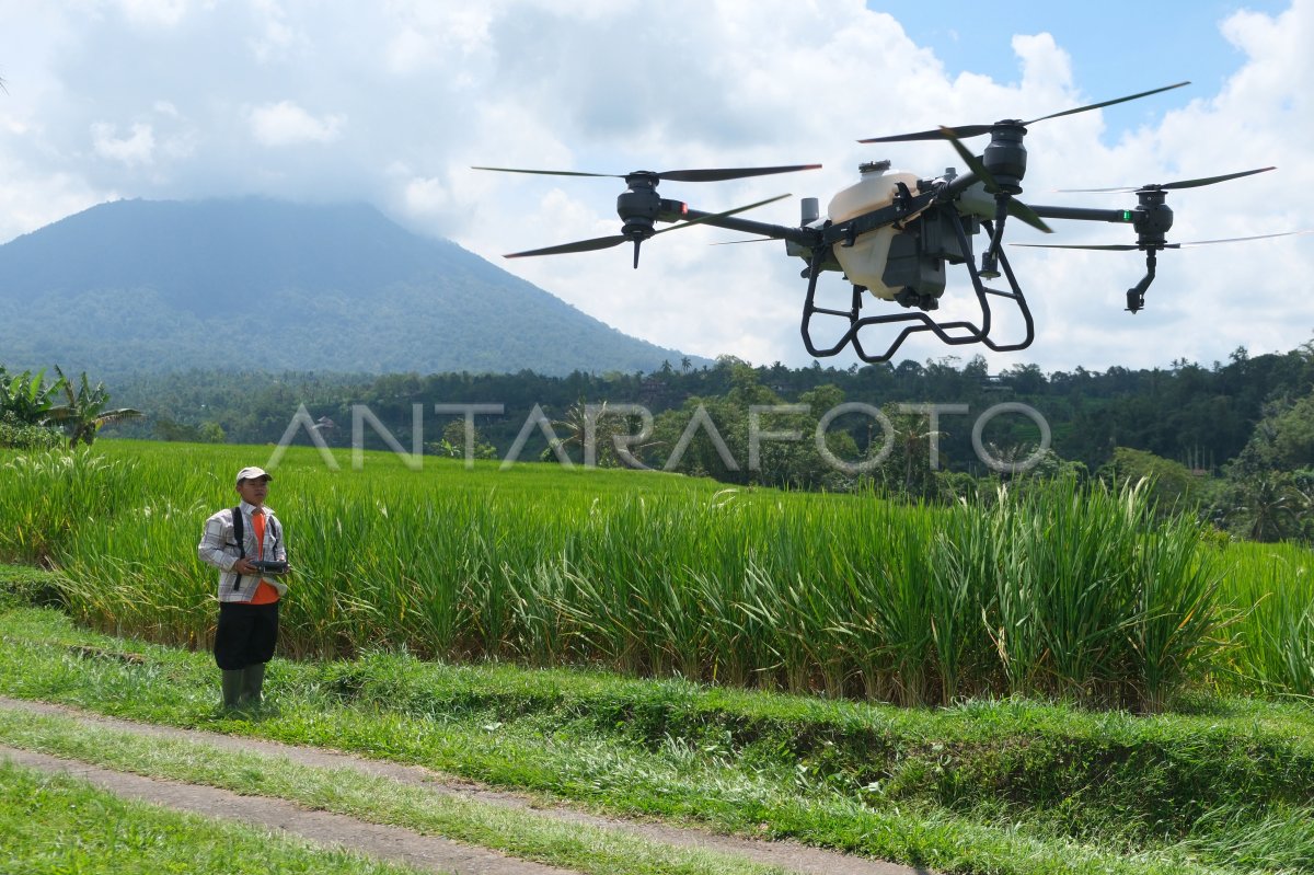 Antisipasi kemarau di lahan pertanian Bali | ANTARA Foto