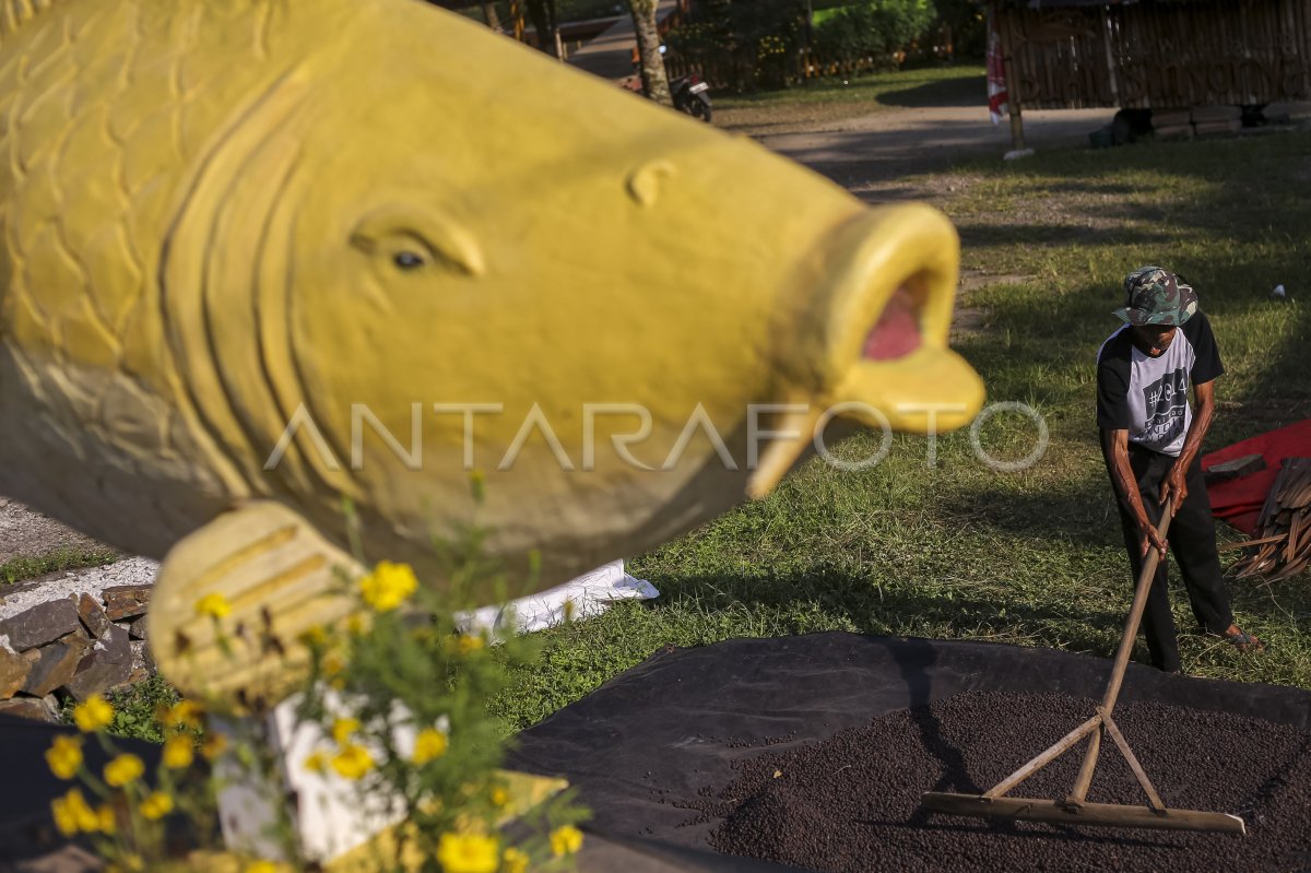 Realisasi penyaluran dana desa April 2025 | ANTARA Foto