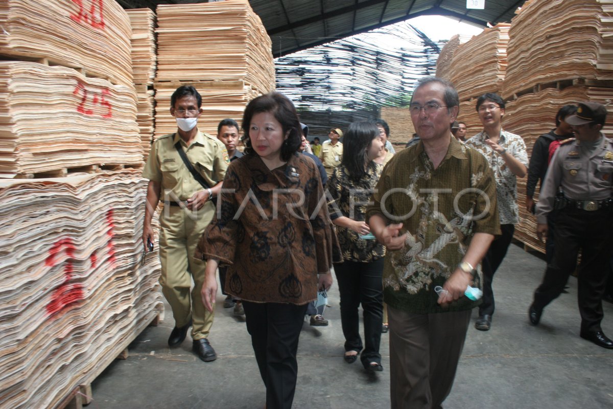 EKSPOR KAYU LAPIS | ANTARA Foto