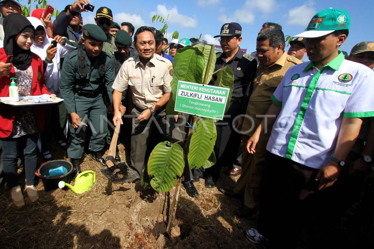 GERAKAN MENANAM POHON | ANTARA Foto