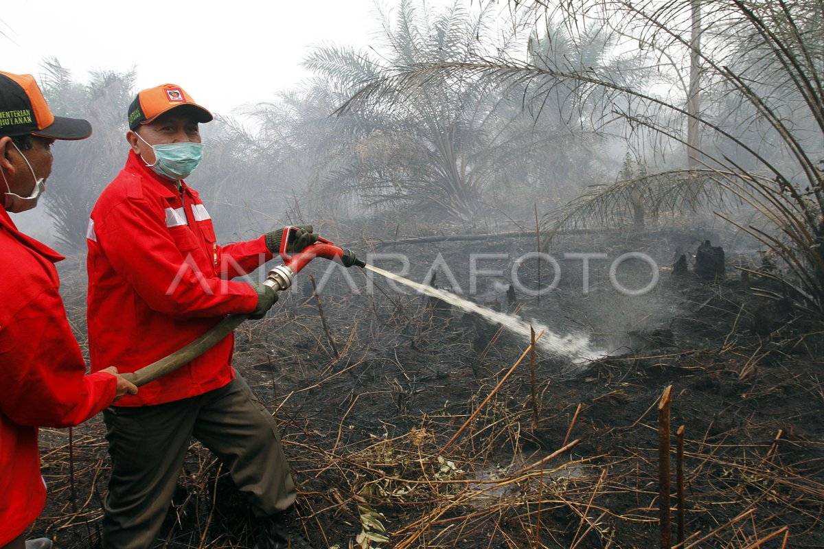 KEBAKARAN HUTAN RIAU | ANTARA Foto