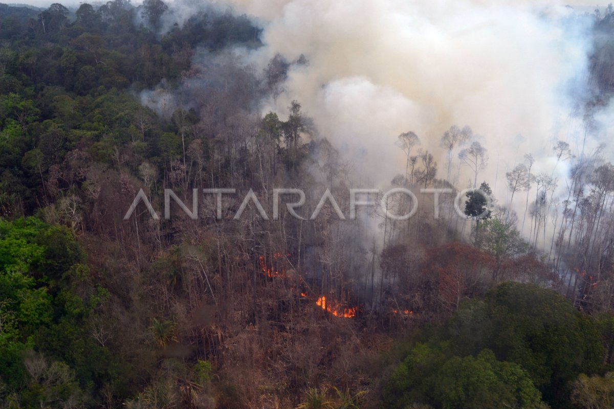 HUTAN RIAU KEMBALI TERBAKAR | ANTARA Foto