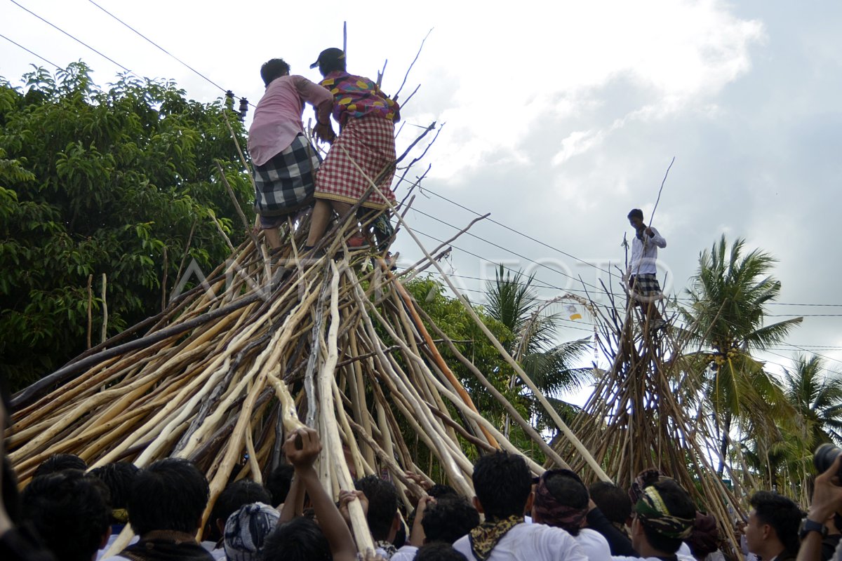 TRADISI MEKOTEK | ANTARA Foto