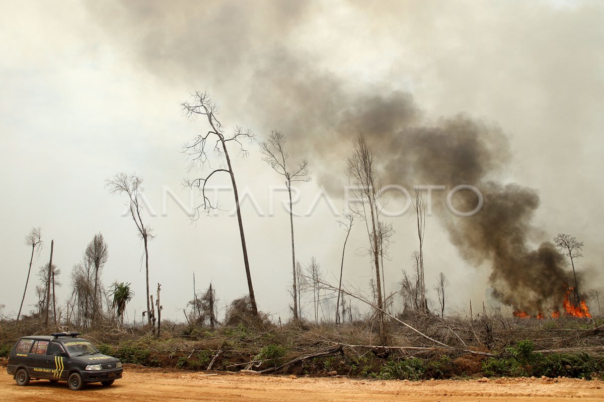 KEBAKARAN HUTAN DAN LAHAN RIAU | ANTARA Foto