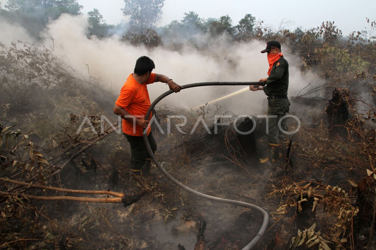 PEMADAMAN KEBAKARAN HUTAN RIAU | ANTARA Foto