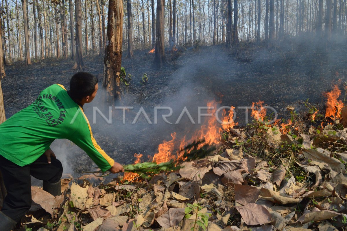 KEBAKARAN HUTAN | ANTARA Foto