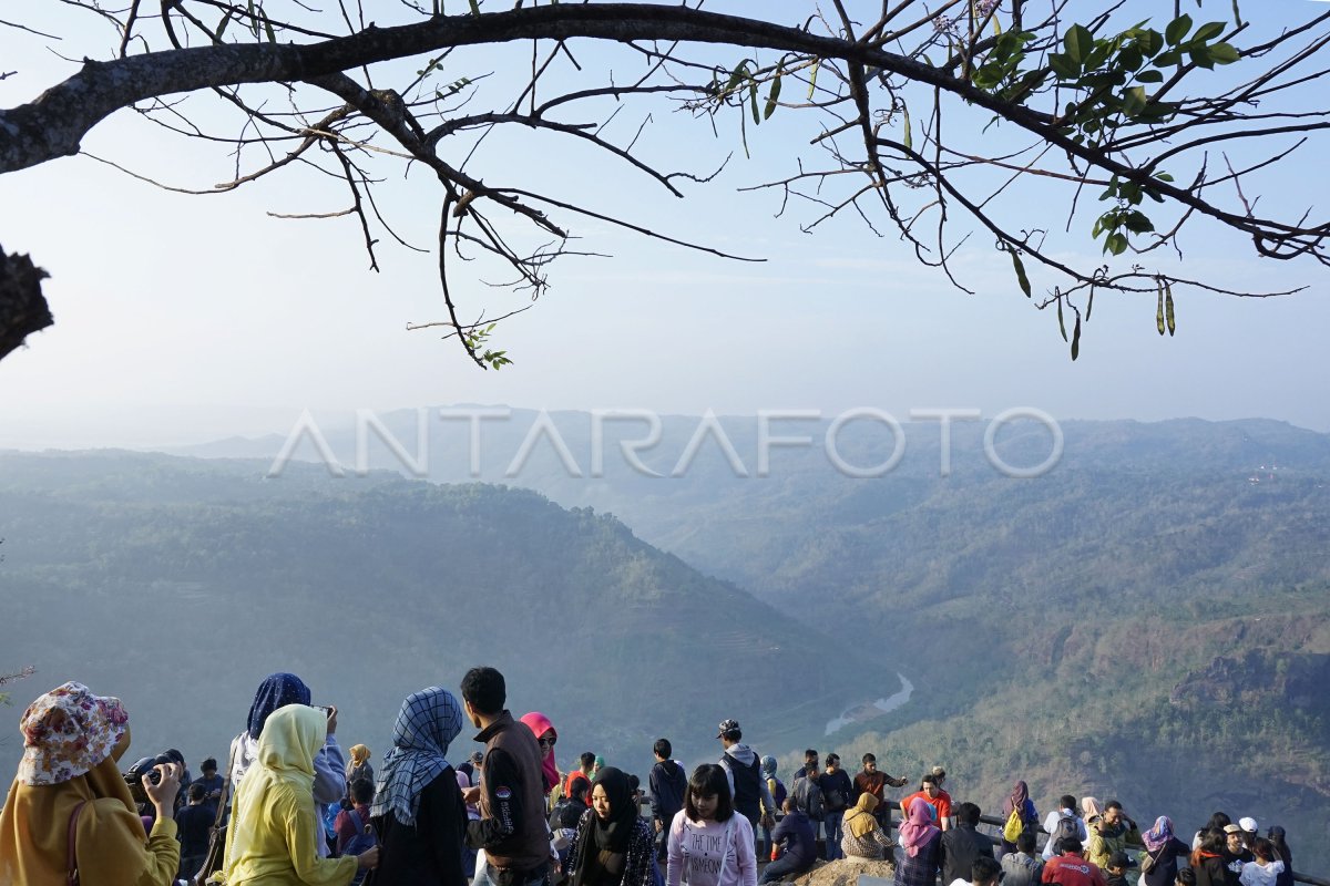 EKOWISATA PUNCAK KEBUN BUAH MANGUNAN | ANTARA Foto EKOWISATA PUNCAK KEBUN BUAH MANGUNAN | ANTARA Foto