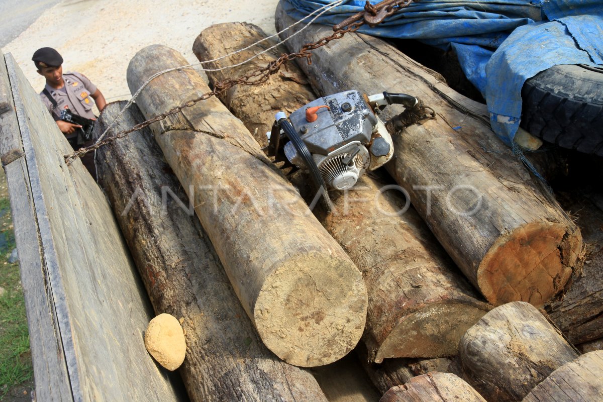 AMANKAN KAYU TANPA DOKUMEN | ANTARA Foto AMANKAN KAYU TANPA DOKUMEN | ANTARA Foto