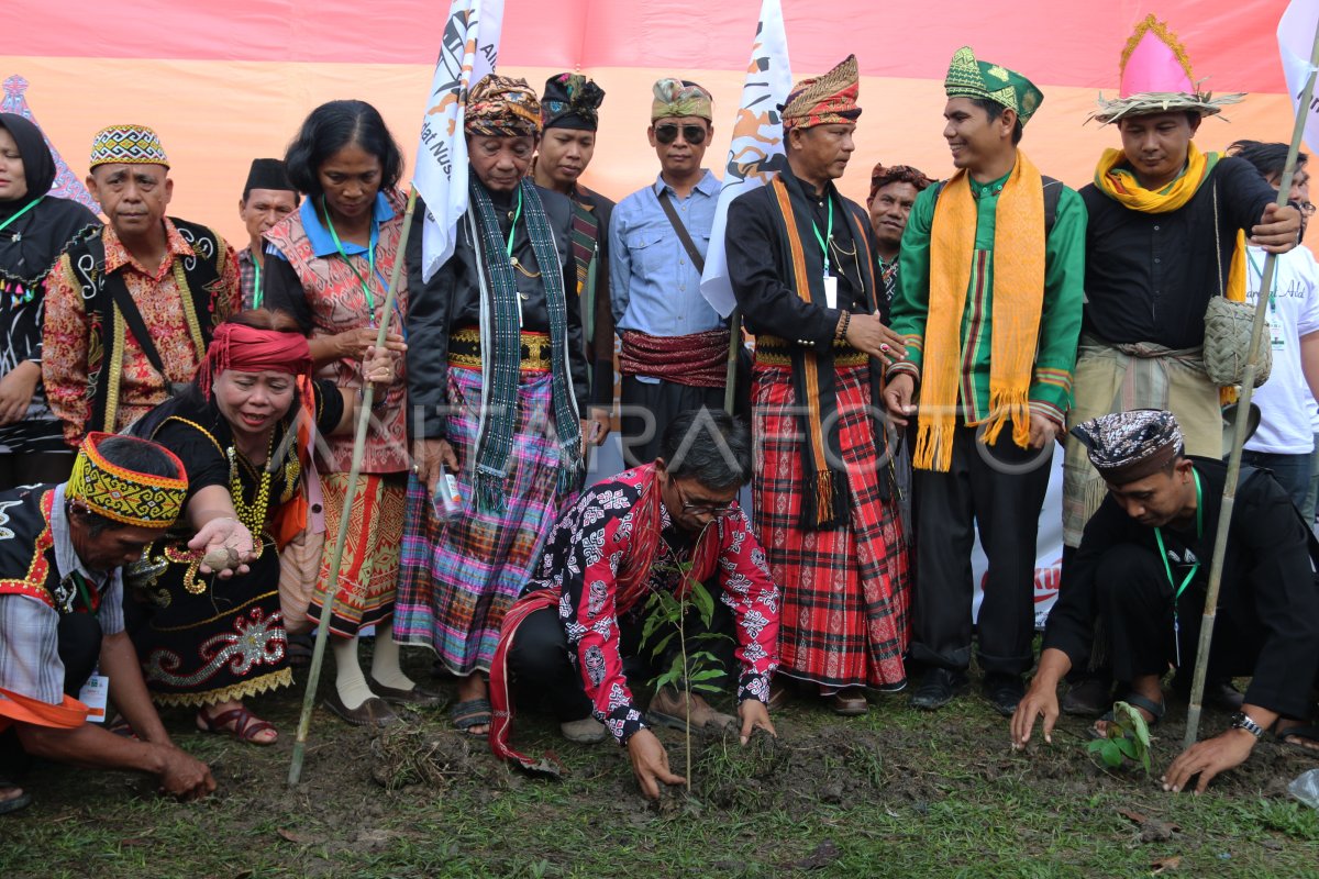 Planting Of Indigenous People Trees Antara Foto