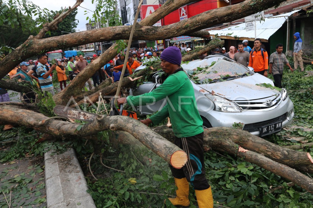 POHON TUMBANG TIMPA MOBIL | ANTARA Foto POHON TUMBANG TIMPA MOBIL | ANTARA Foto
