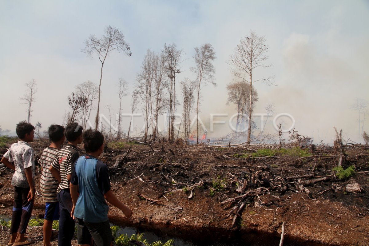 KEBAKARAN LAHAN GAMBUT MELUAS | ANTARA Foto