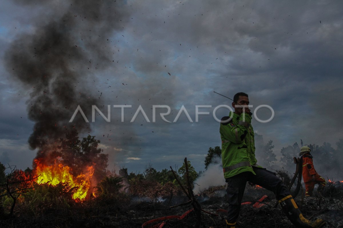 UPAYA PEMADAMAN KEBAKARAN LAHAN | ANTARA Foto