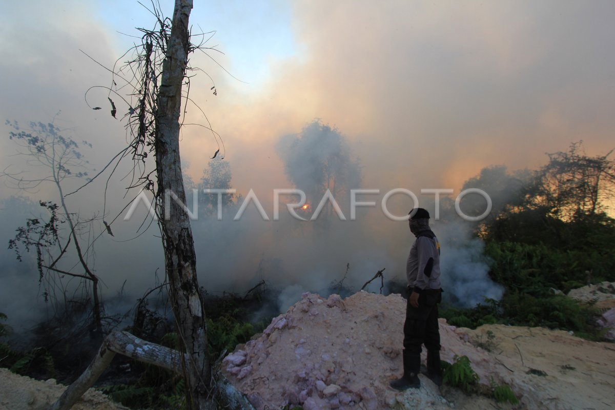 KEBAKARAN HUTAN DAN LAHAN RIAU | ANTARA Foto