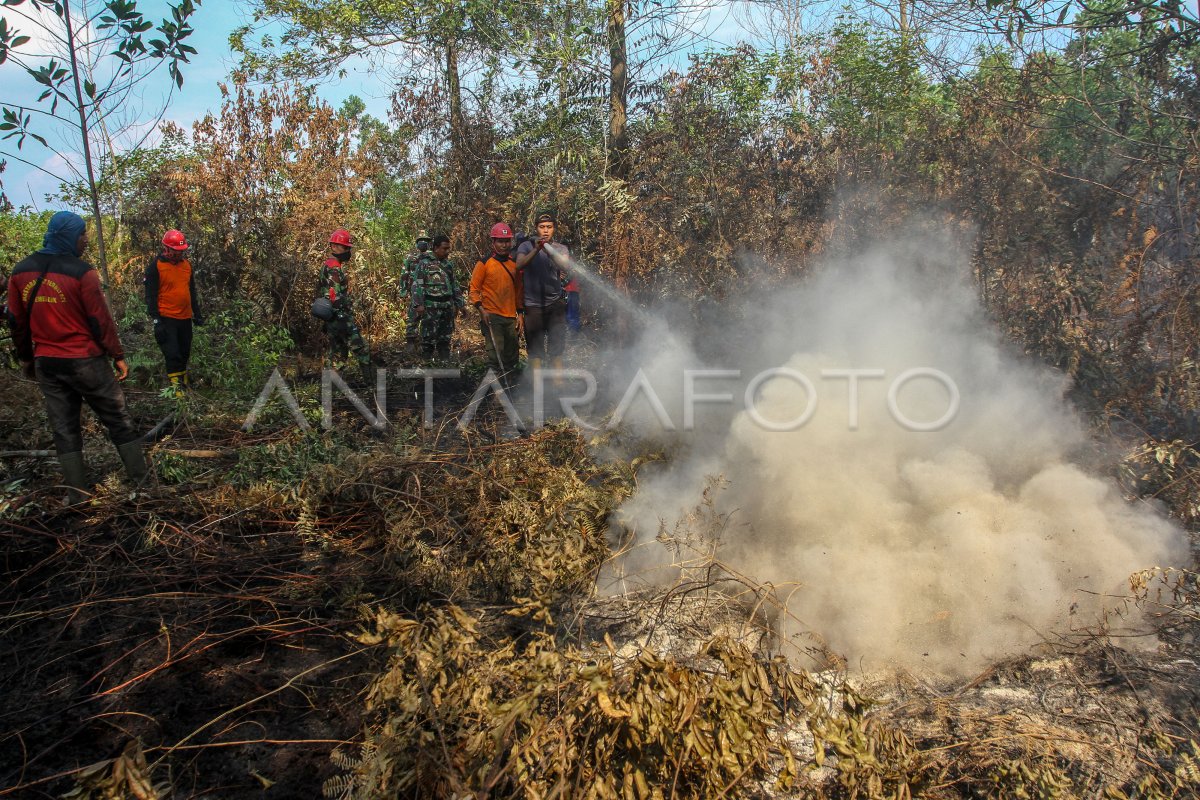 PEMADAMAN KEBAKARAN LAHAN GAMBUT | ANTARA Foto