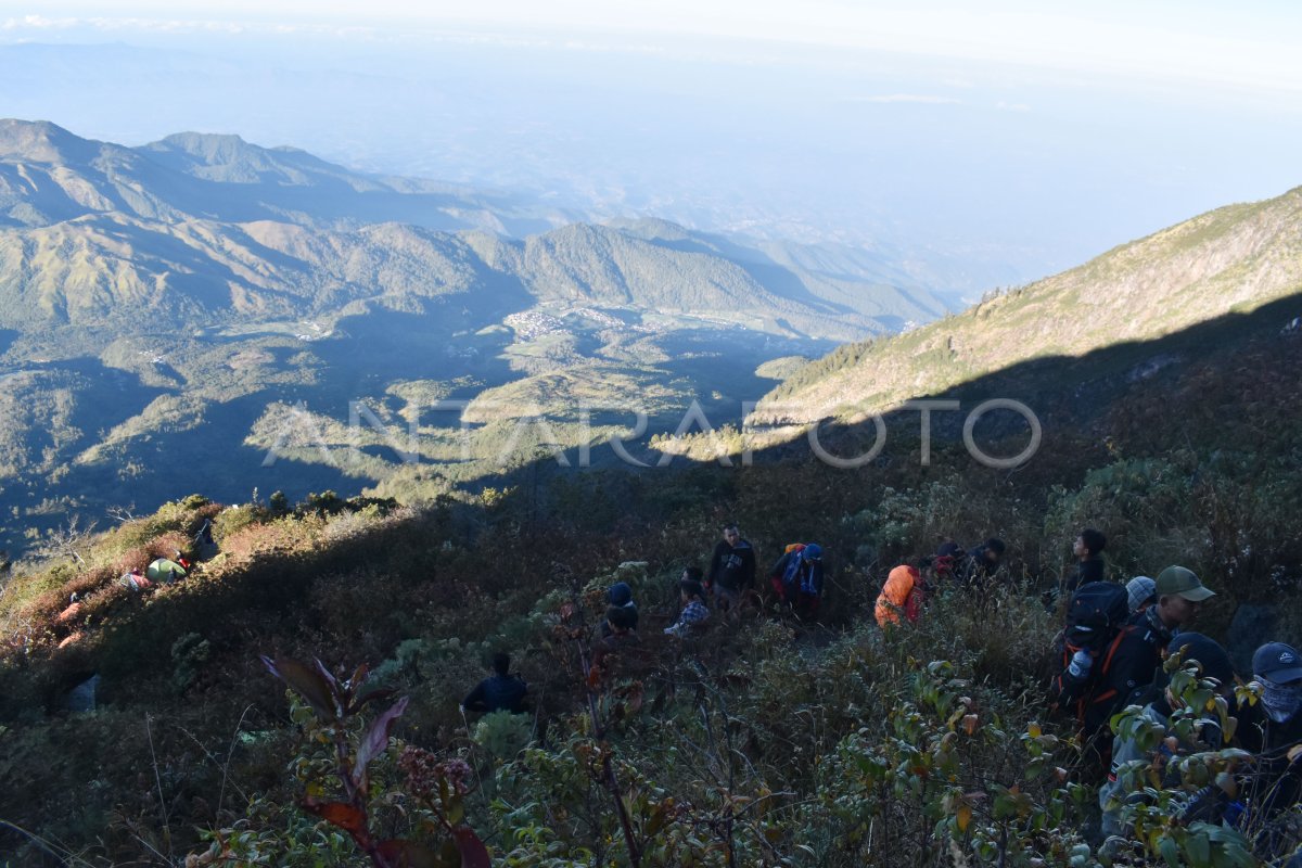 PENDAKI GUNUNG LAWU | ANTARA Foto