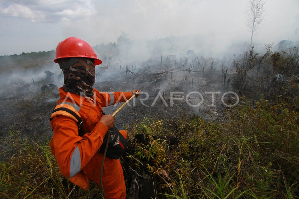 UPAYA PEMADAMAN KEBAKARAN LAHAN GAMBUT | ANTARA Foto