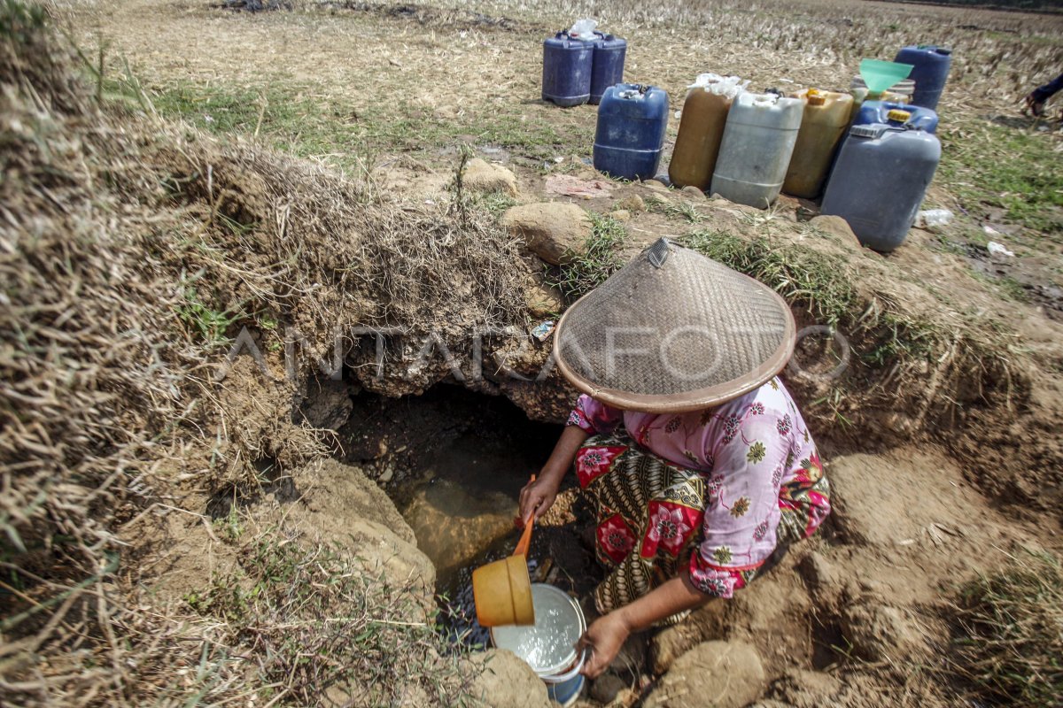 KEKERINGAN DI KABUPATEN BOGOR | ANTARA Foto