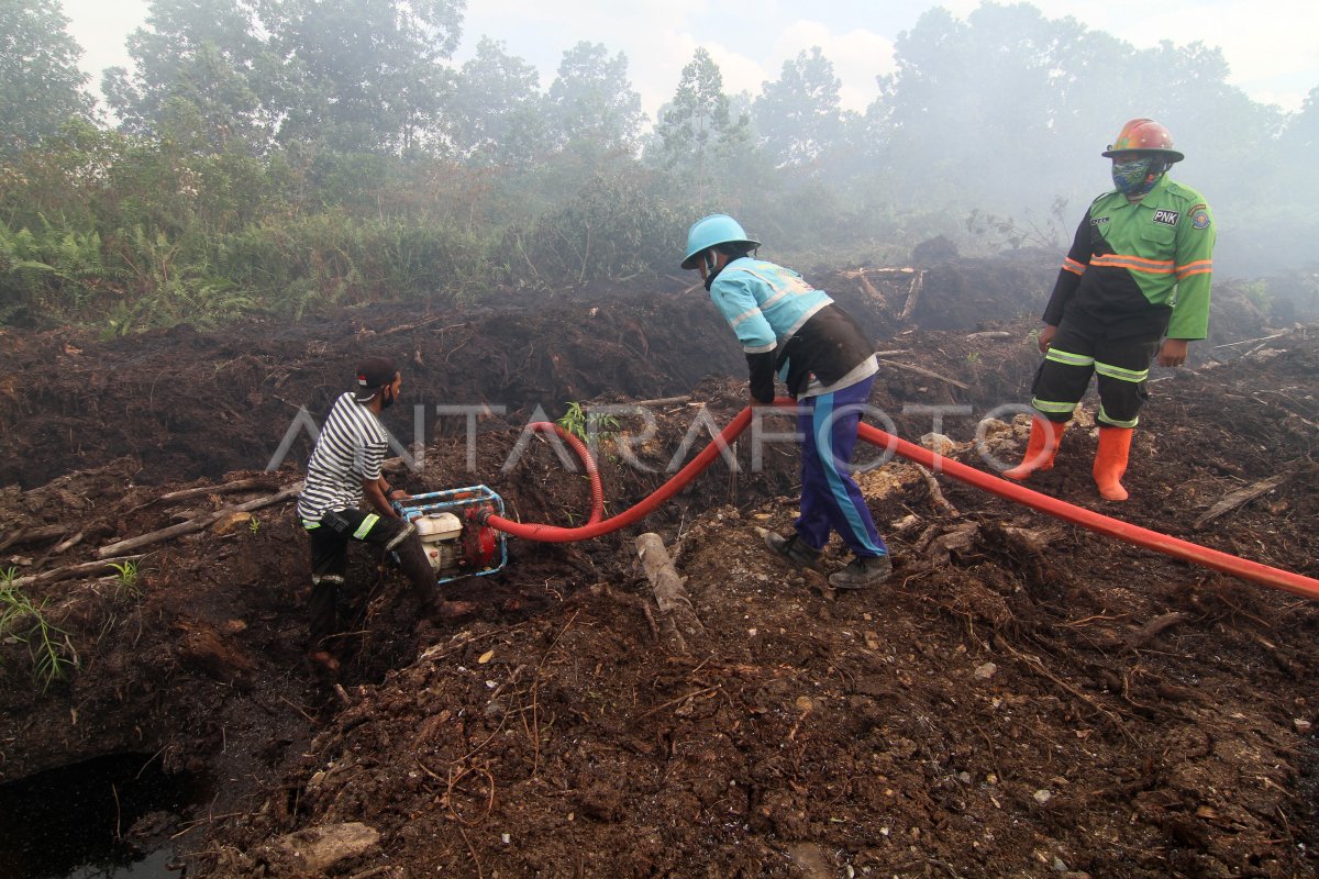 KEBAKARAN HUTAN LAHAN DI PONTIANAK | ANTARA Foto