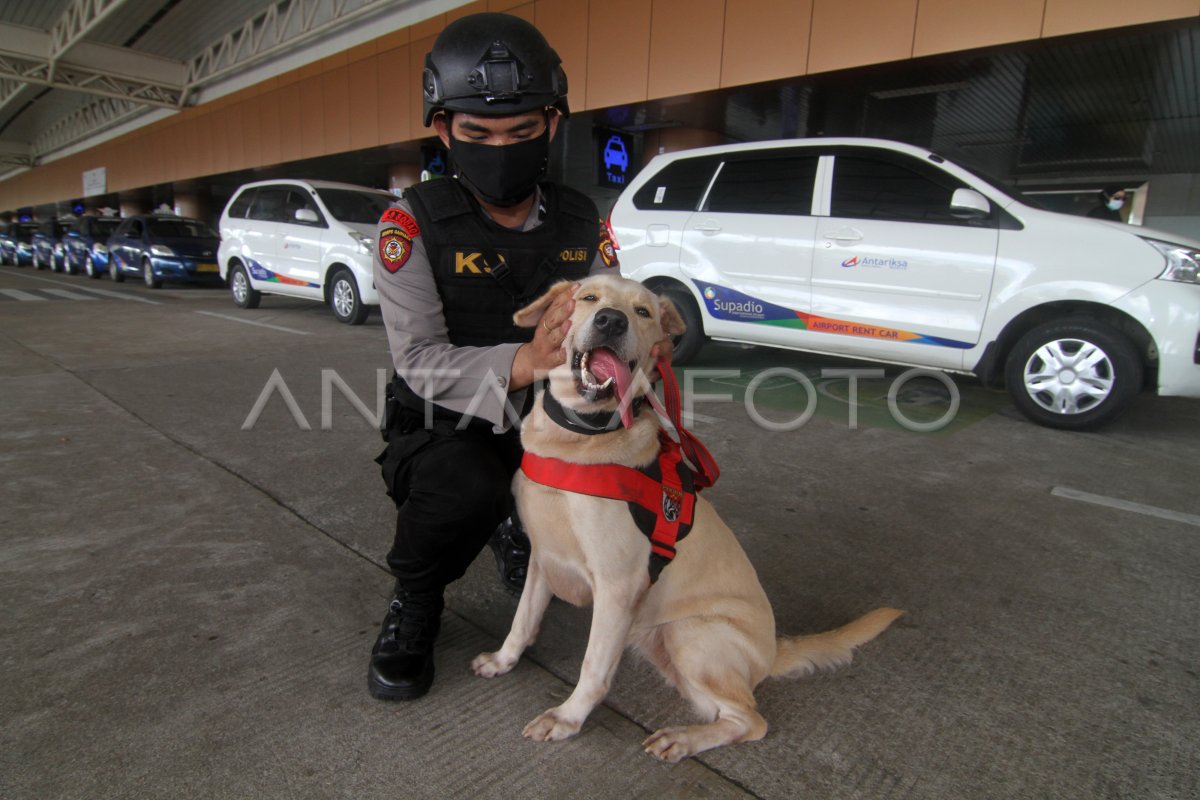 PATROL UNIT K9 POLDA NECKLACE | ANTARA Foto