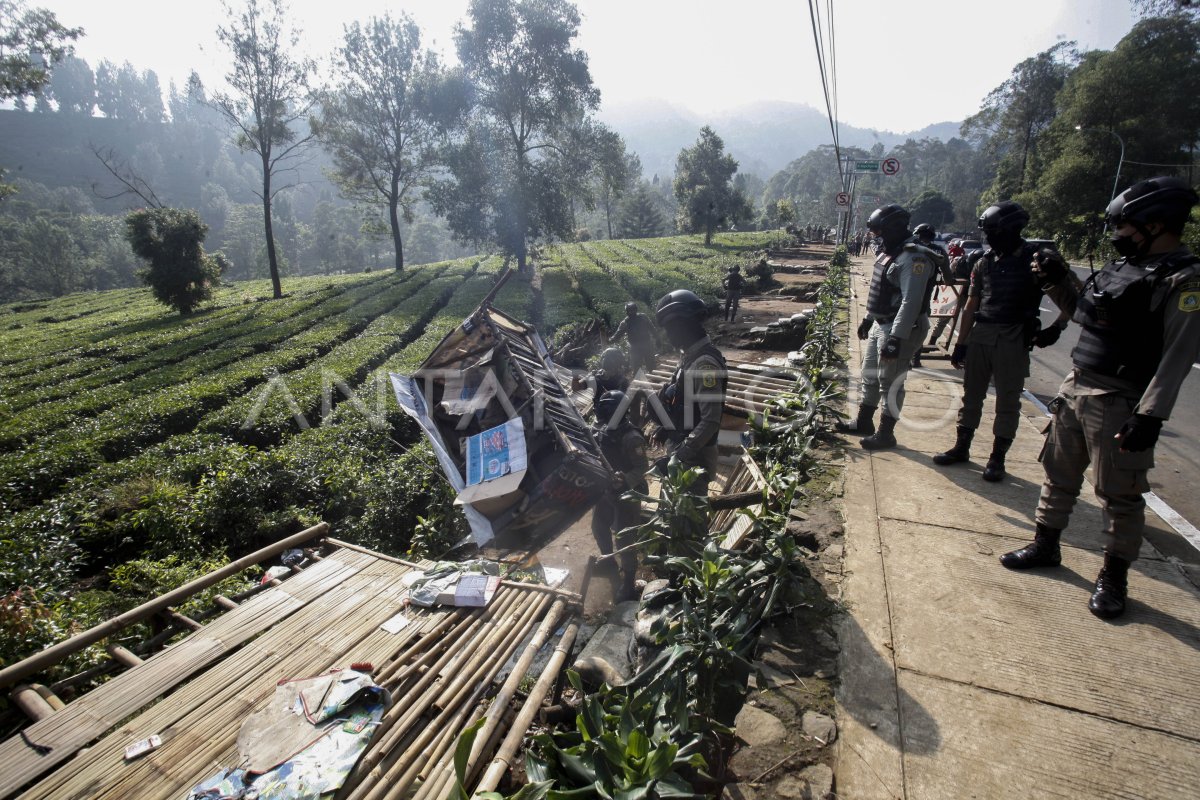 PENERTIBAN PKL DI KAWASAN WISATA PUNCAK BOGOR | ANTARA Foto
