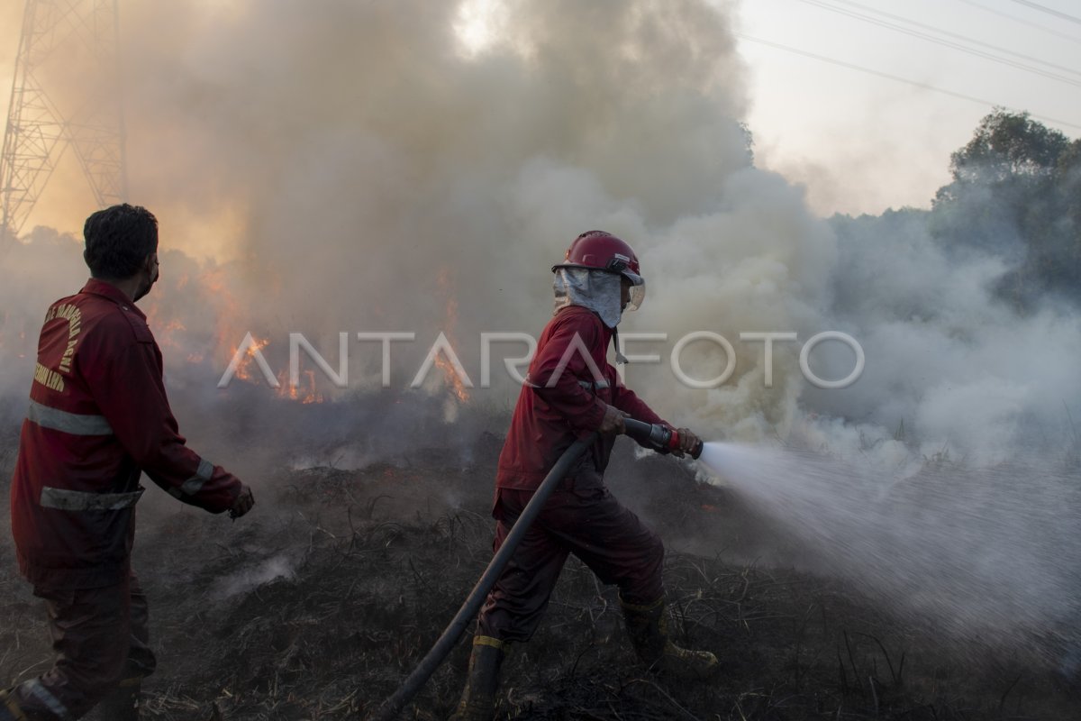 UPAYA PEMADAMAN KEBAKARAN LAHAN DI PULAU SEMAMBU | ANTARA Foto