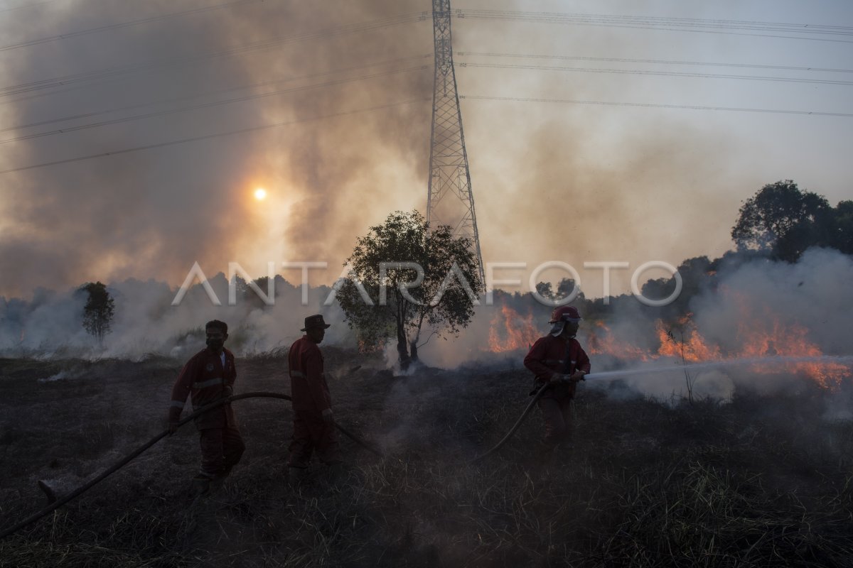 UPAYA PEMADAMAN KEBAKARAN LAHAN DI PULAU SEMAMBU | ANTARA Foto
