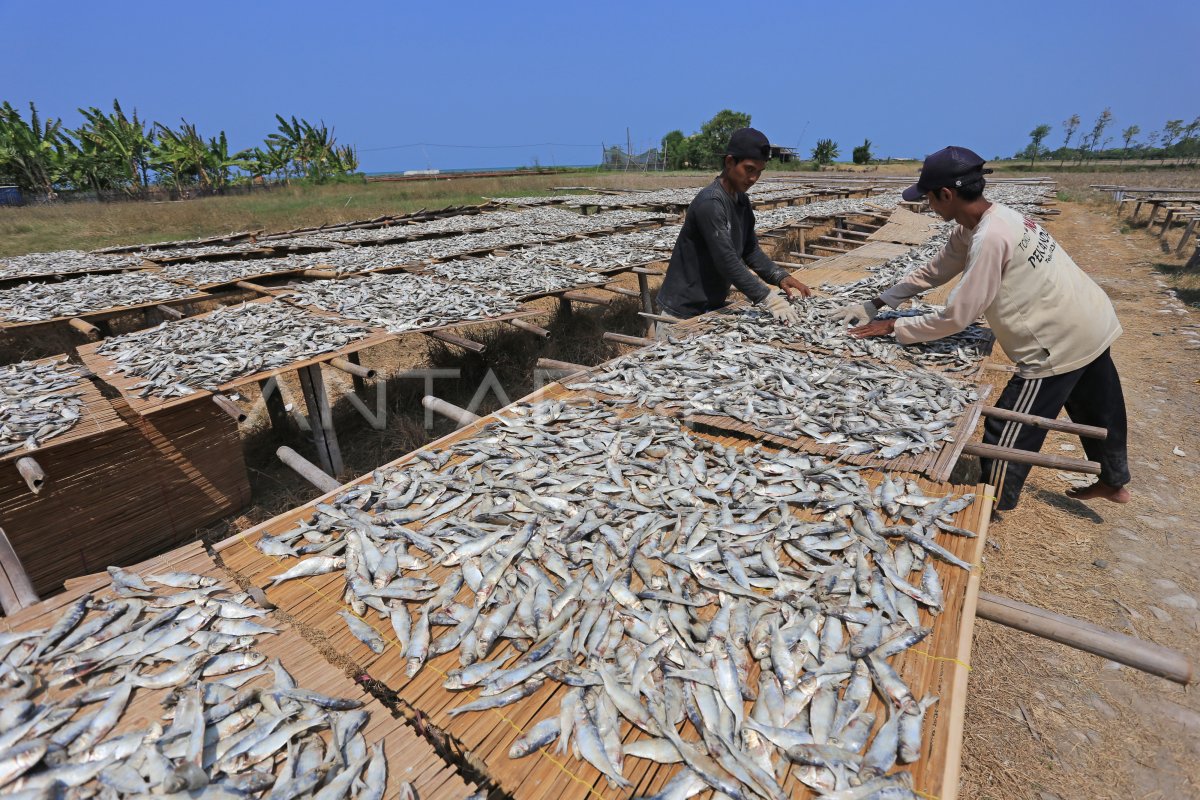 PERMINTAAN IKAN ASIN MENINGKAT | ANTARA Foto