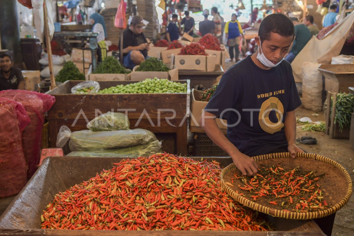 HARGA CABAI RAWIT NAIK | ANTARA Foto