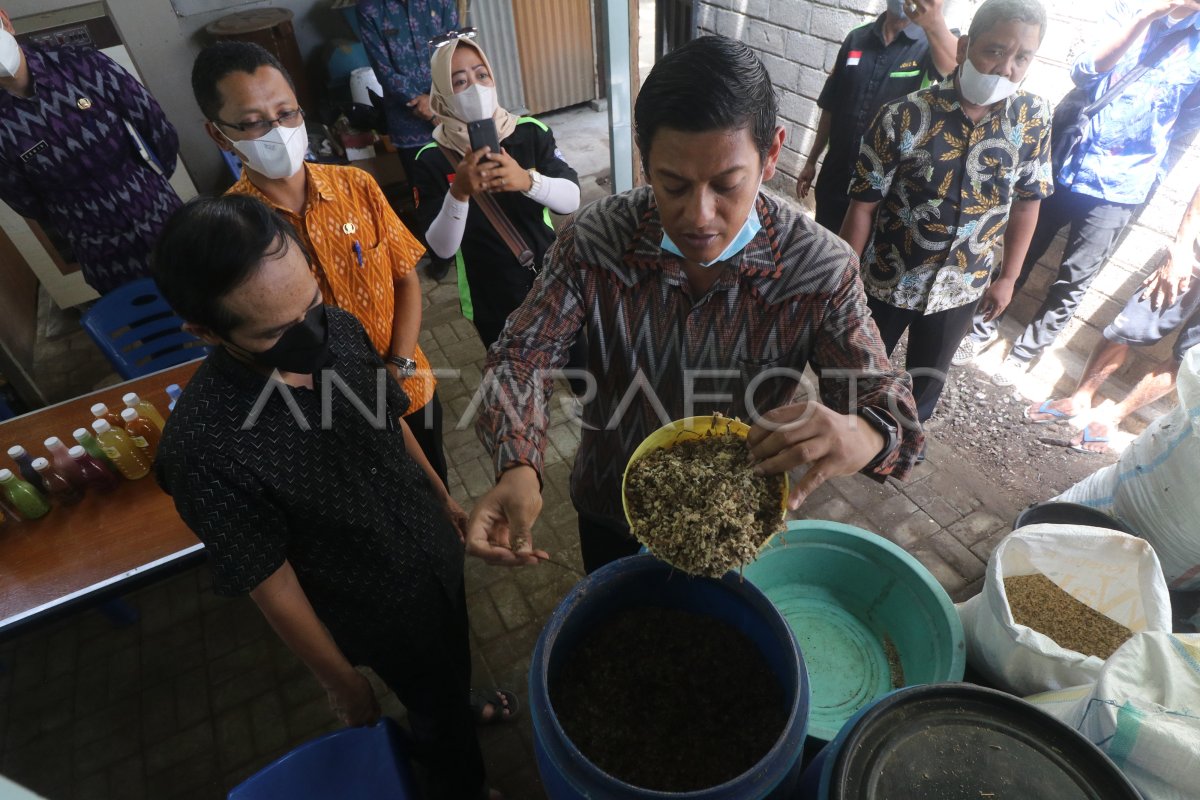 PETERNAKAN KAMBING KOMUNAL PRODAMAS | ANTARA Foto