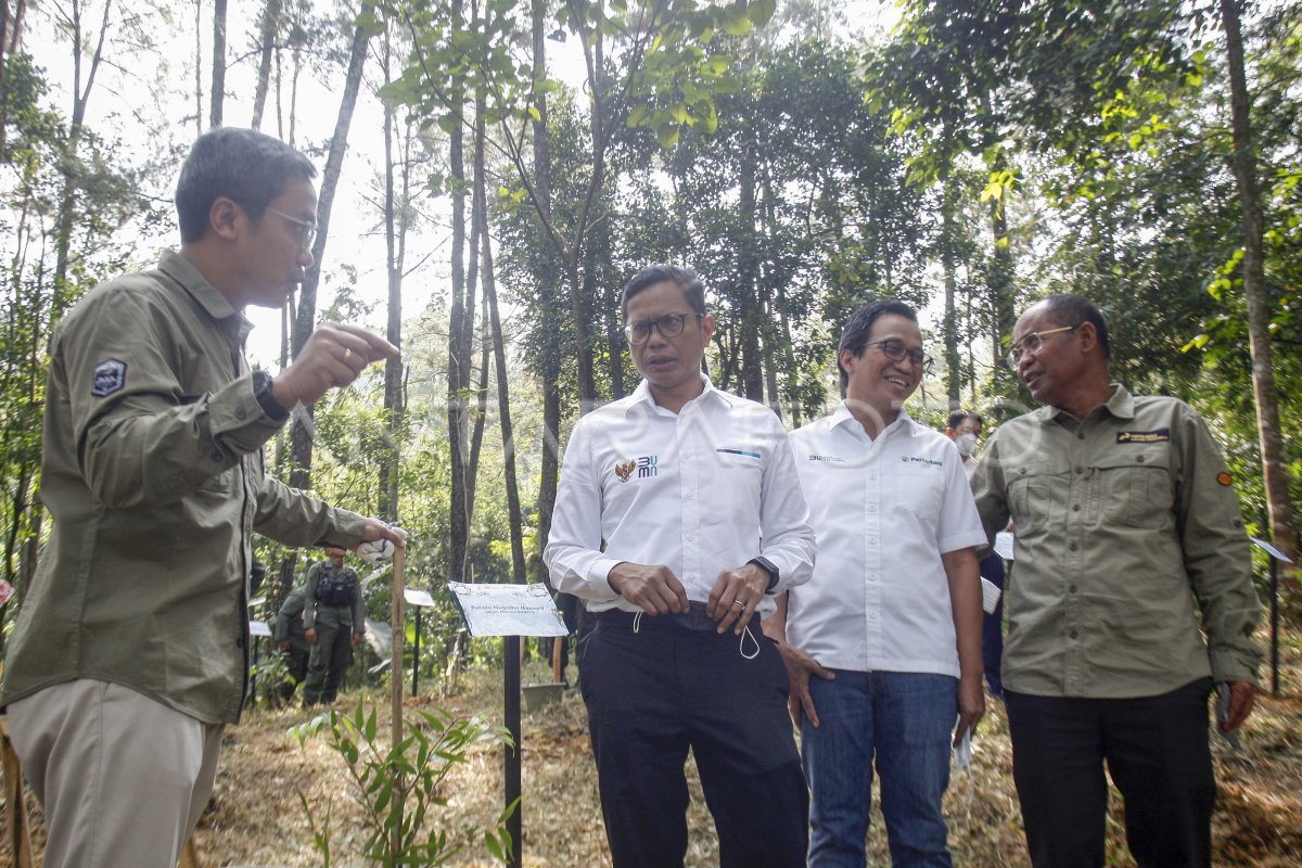 PPI-PERHUTANI | ANTARA Foto PPI-PERHUTANI | ANTARA Foto