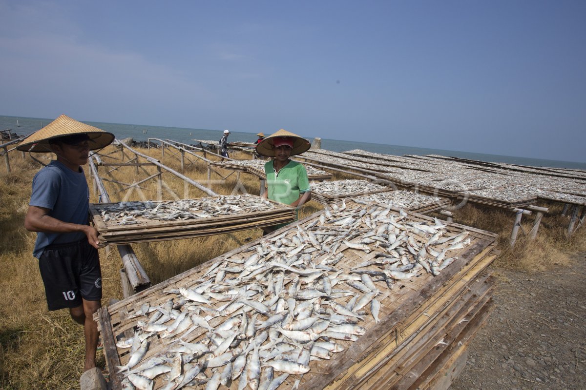 PRODUKSI IKAN ASIN MENINGKAT | ANTARA Foto
