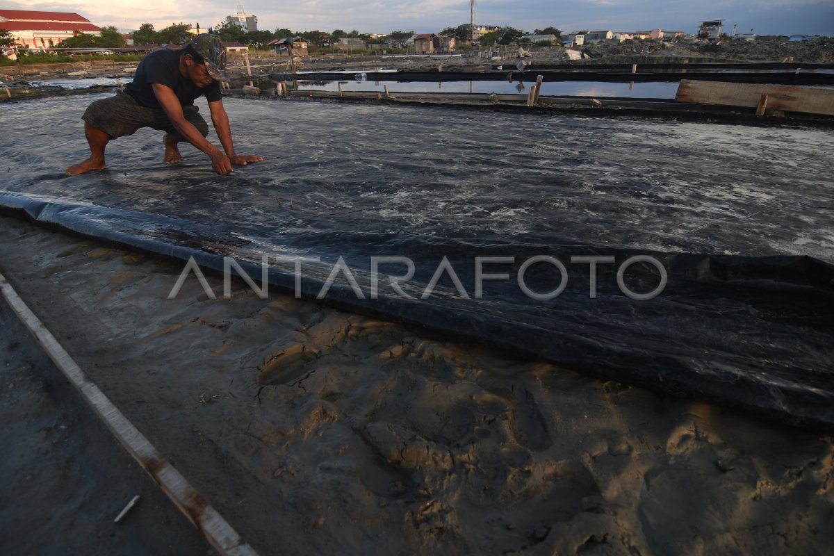 Pemasangan geomembran untuk produksi garam | ANTARA Foto